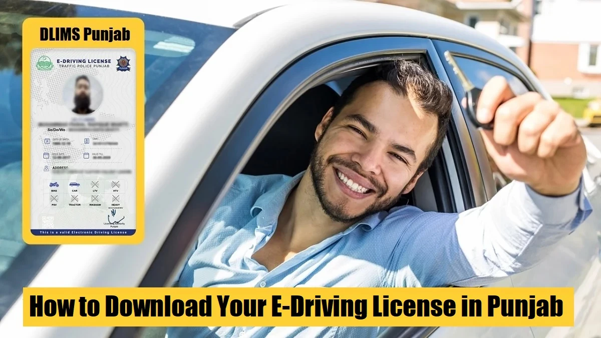 How to Download Your E-Driving License in Punjab for Free