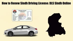 How to Renew Sindh Driving License: DLS Sindh Online 2025