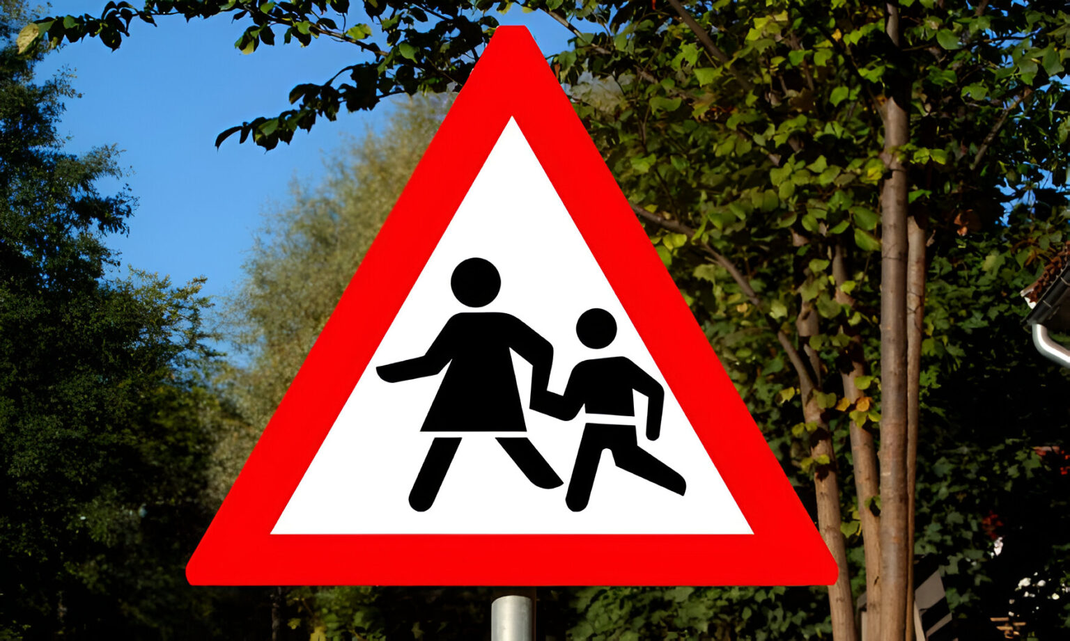 Traffic Signs Test in Pakistan 2025 – The Ultimate Guide